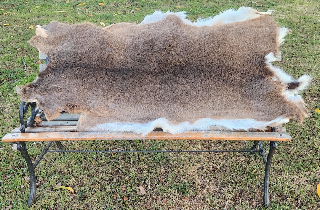 Large Real Tanned Whitetail Deer Hide fur On - Etsy