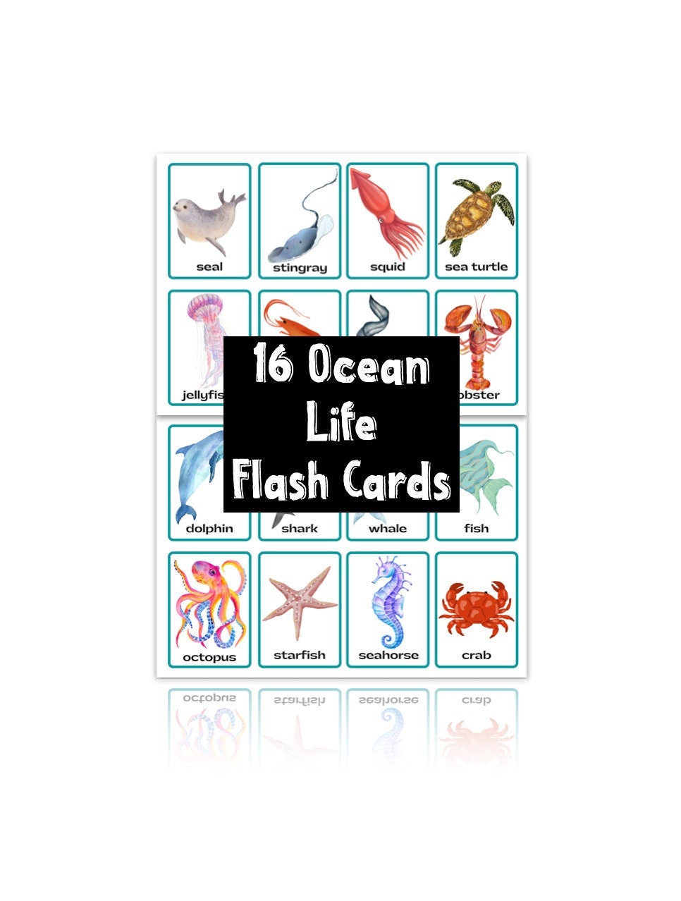 Cute Ocean Life Flash Cards High Quality Digital File - Etsy