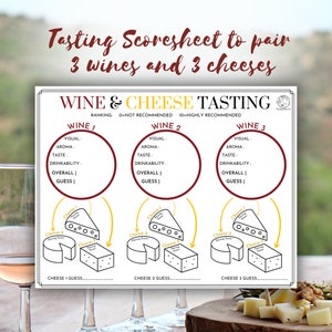 Wine and Cheese Pairing, Blind Tasting, Wine and Cheese Party Kit, Wine ...
