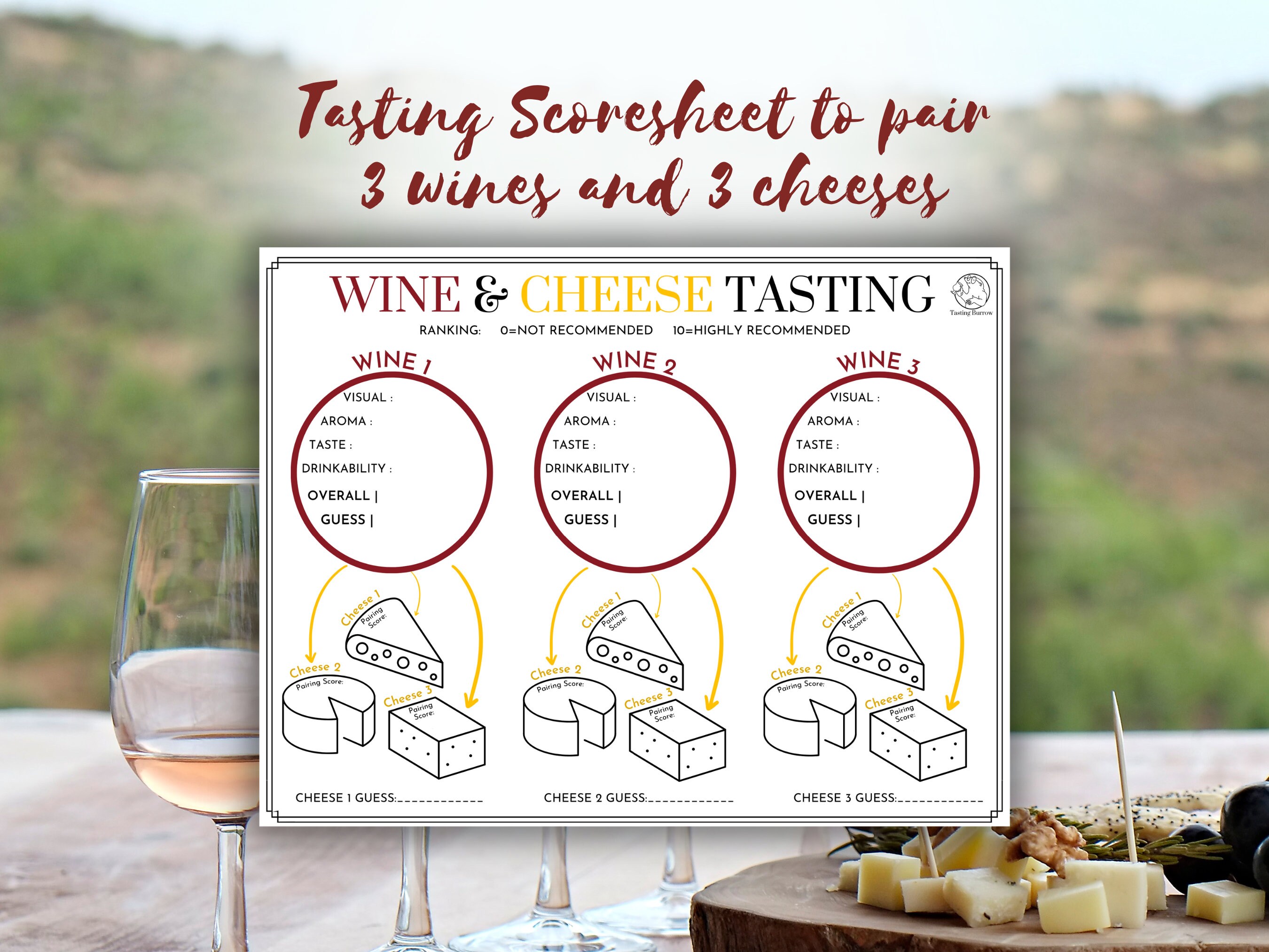 Wine and Cheese Pairing, Blind Tasting, Wine and Cheese Party Kit, Wine ...