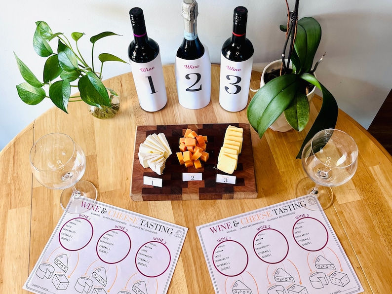 Wine and Cheese Pairing, Blind Tasting, Wine and Cheese Party Kit, Wine ...