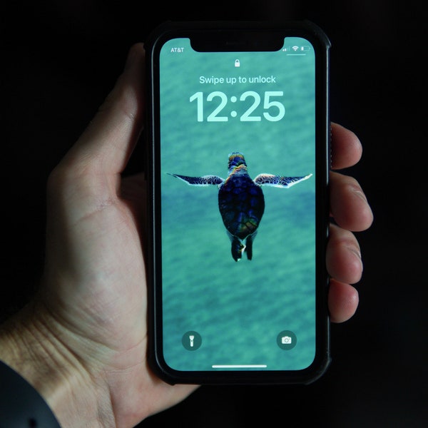 Turtle Wallpaper - Etsy