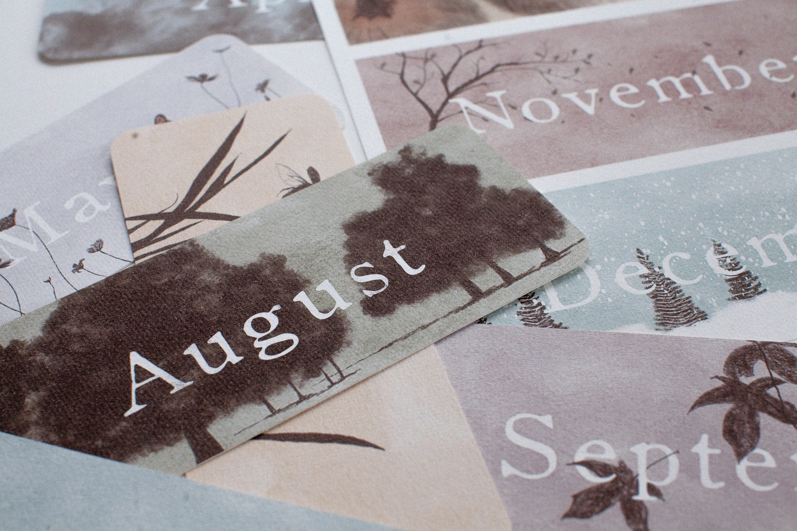 Printable Illustrated Months of the Year Nature Themed Cards - Etsy