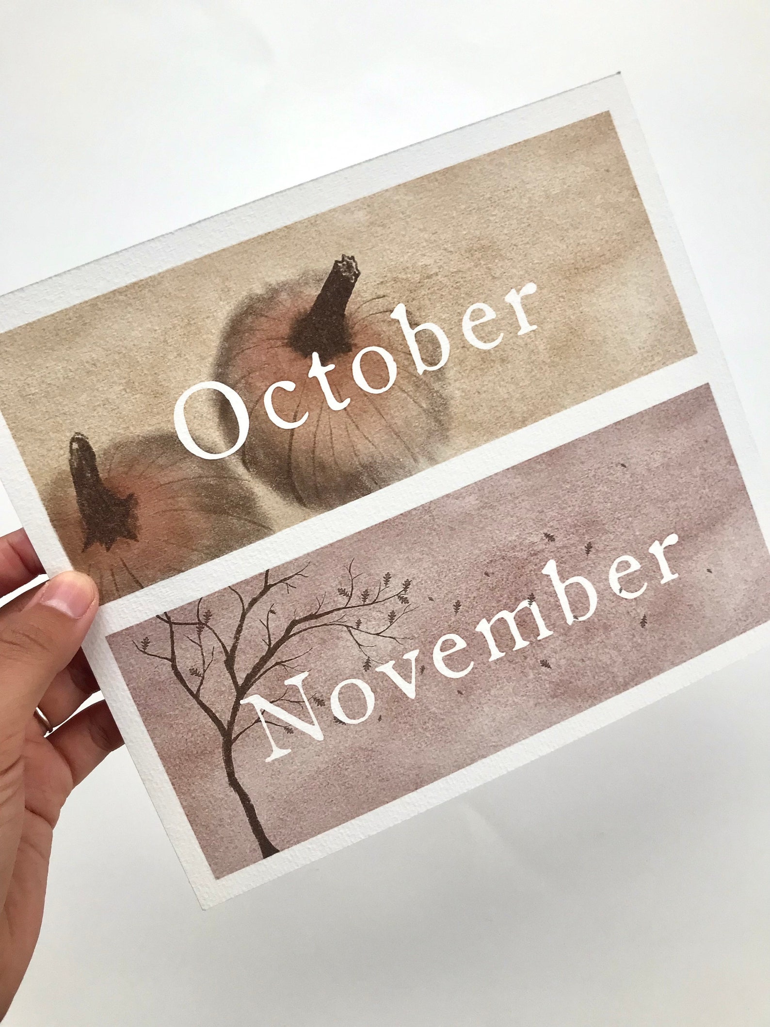 Printable Illustrated Months of the Year Nature Themed Cards - Etsy