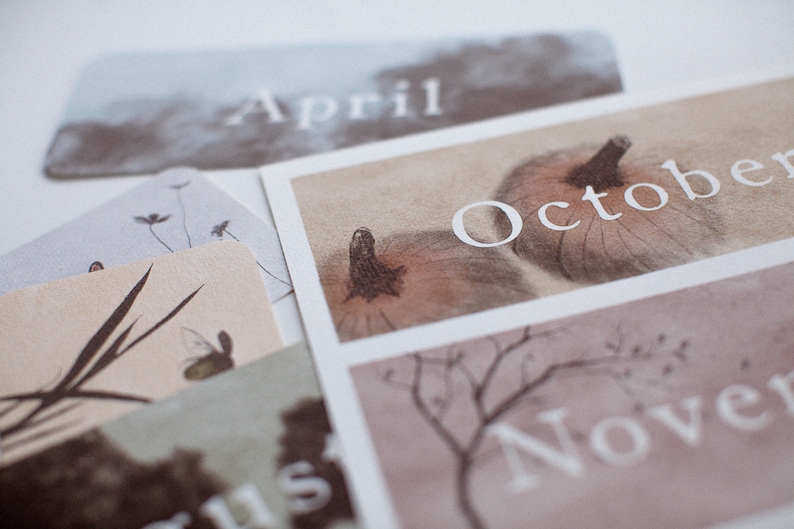 Printable Illustrated Months of the Year Nature Themed Cards - Etsy
