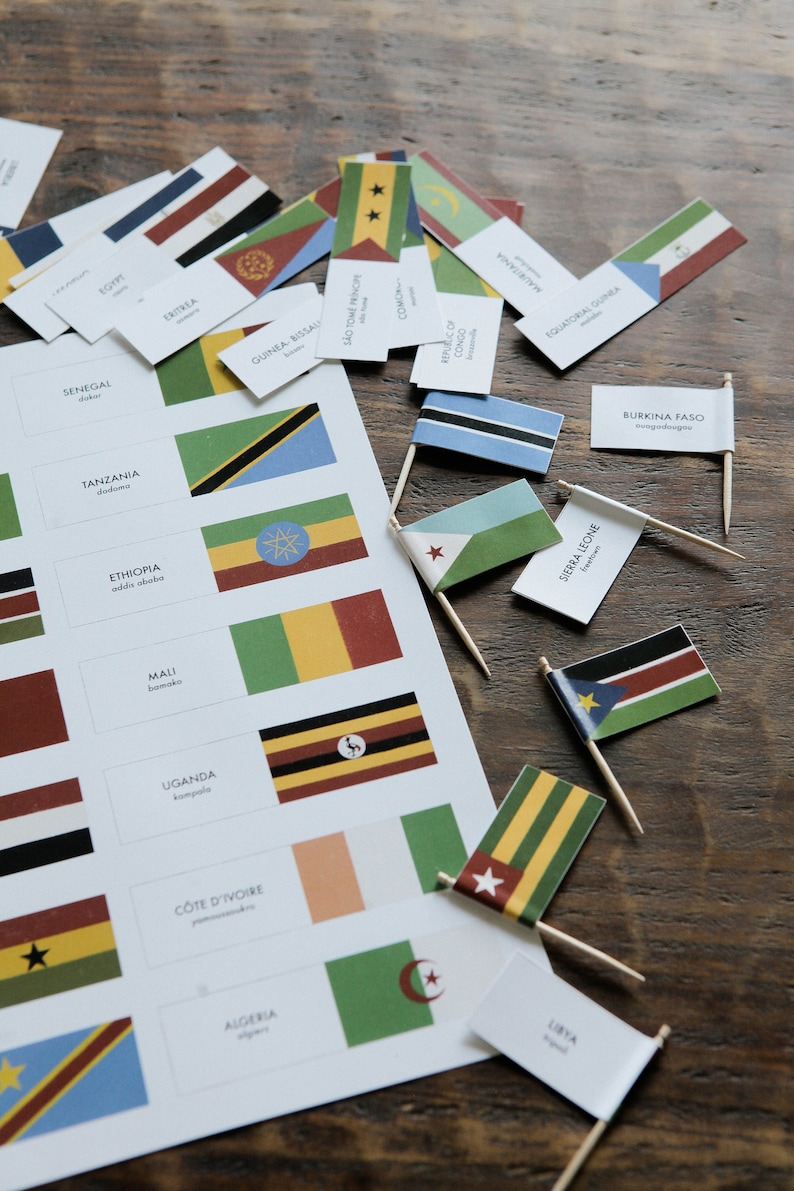 AFRICA Illustrated Continent Flag Activity | DOWNLOAD | AFRICA ...