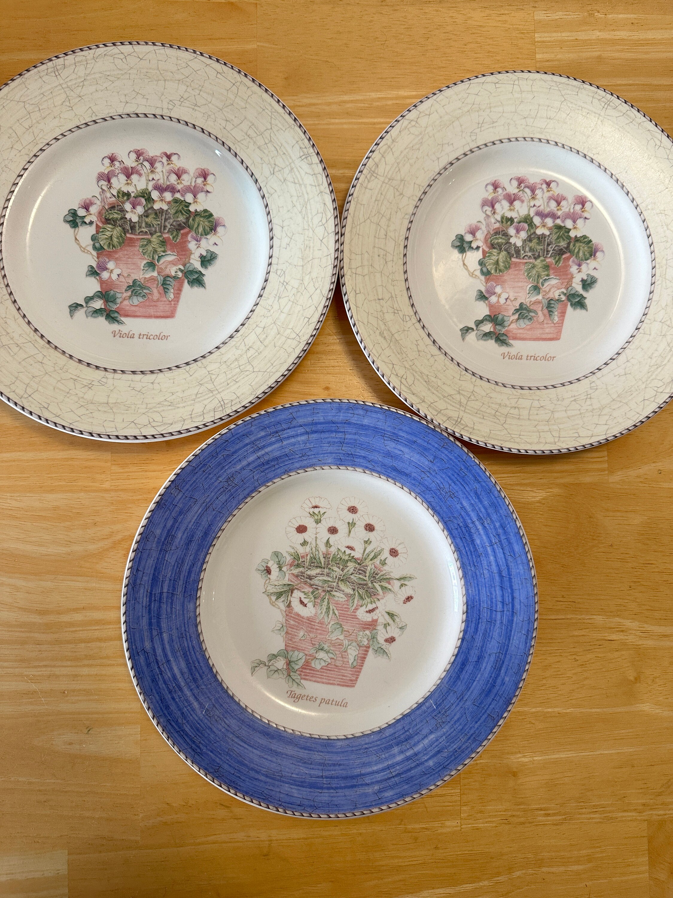 Vintage 1997 Made in England WEDGWOOD SARAH’S GARDEN Ceramic Salad ...