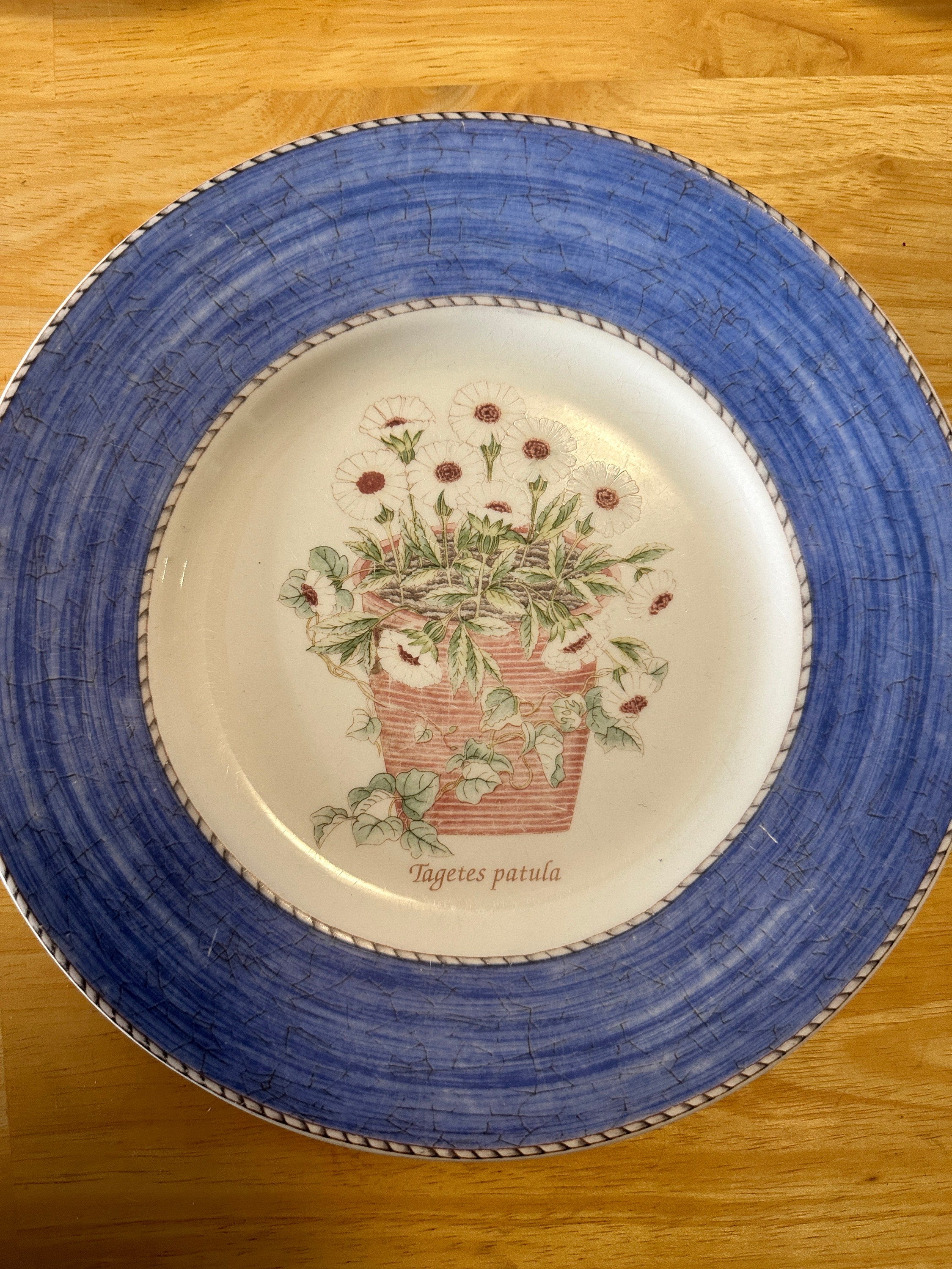 Vintage 1997 Made in England WEDGWOOD SARAHS GARDEN Ceramic Salad Plate ...