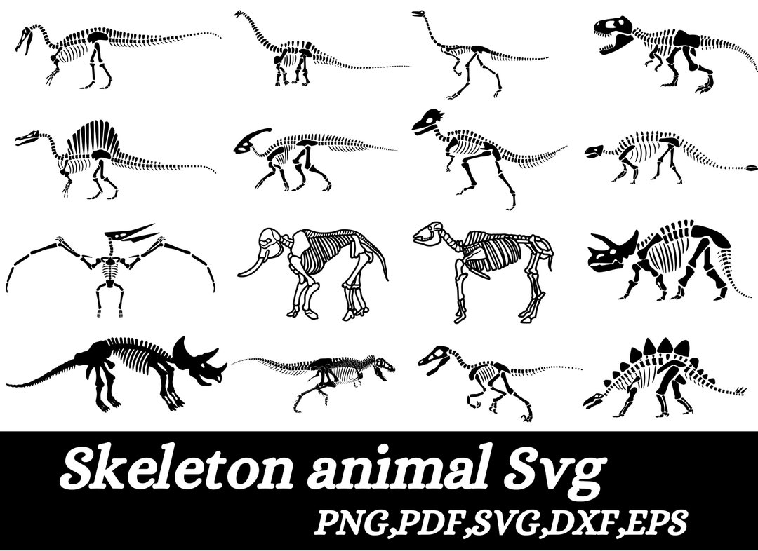 Skeleton Animal Svg, Skeleton Svg, Animal Svg, Dead, Cat, SVG, Ai, Pdf ...
