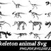 Skeleton Animal Svg, Skeleton Svg, Animal Svg, Dead, Cat, SVG, Ai, Pdf ...