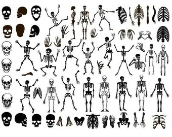 SKELETON SVG, Skeleton Svg Bundle, Skeleton Clipart, Skeleton Cut Files ...
