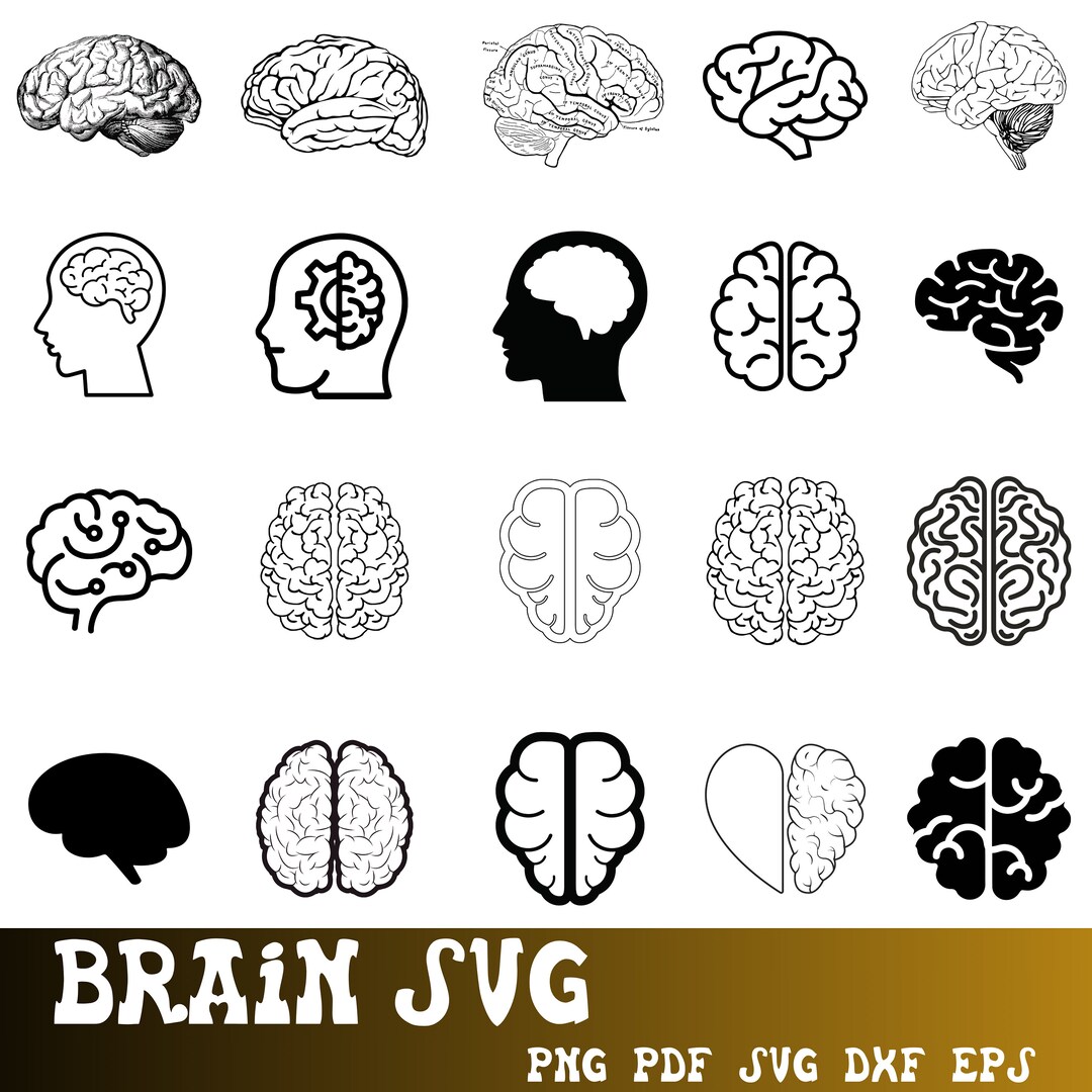Brain SVG Bundle, Brain PNG Bundle, Brain Clipart, Brain SVG Cut Files ...