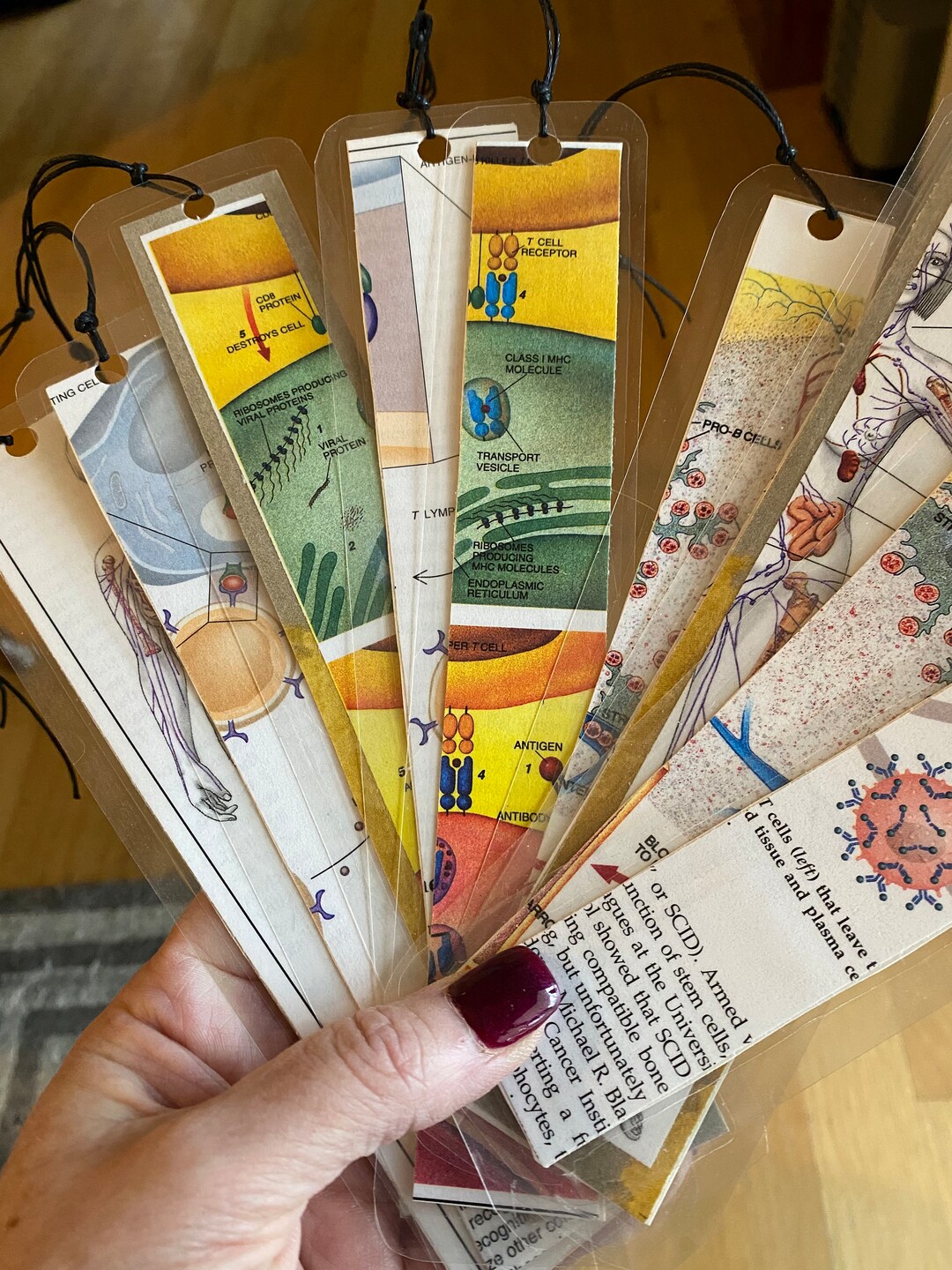 Biology / Immunology Book Marks Great Teacher Gift - Etsy