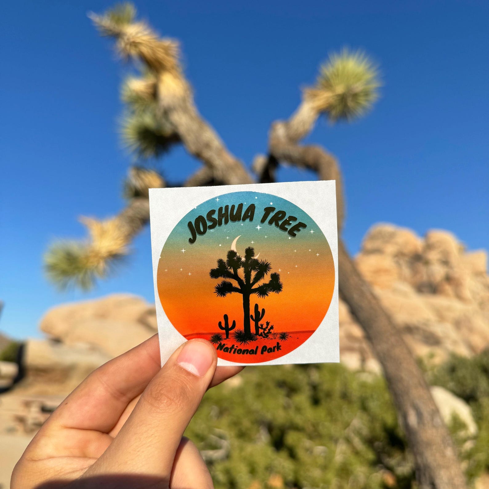 JOSHUA TREE National Park Sticker / Decal, Camping Stickers - Etsy