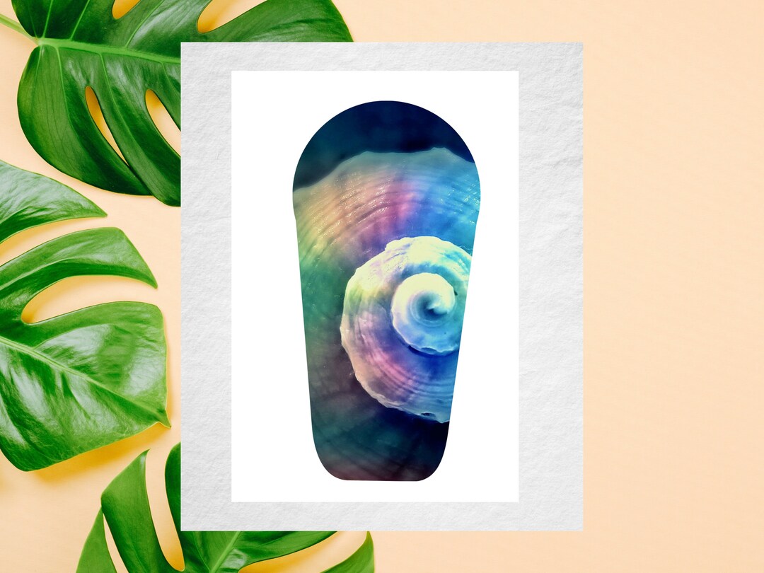 Dexcom Tattoo Decal Seashell Cgm Cover For T1d Etsy