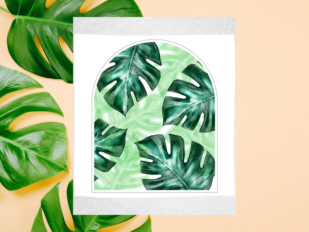 Monstera Omnipod Tattoo Omnipod Decal Etsy
