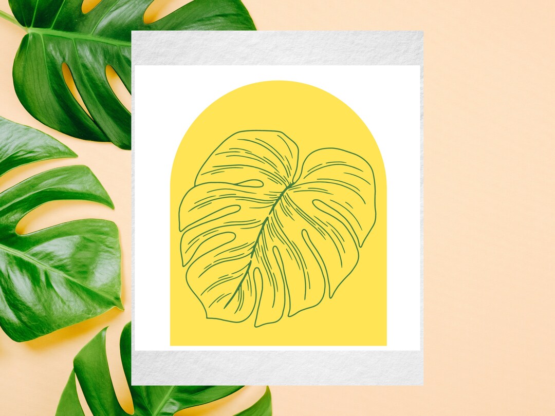 Omnipod Tattoo Omnipod Decal Monstera Omnipod Tattoo Etsy
