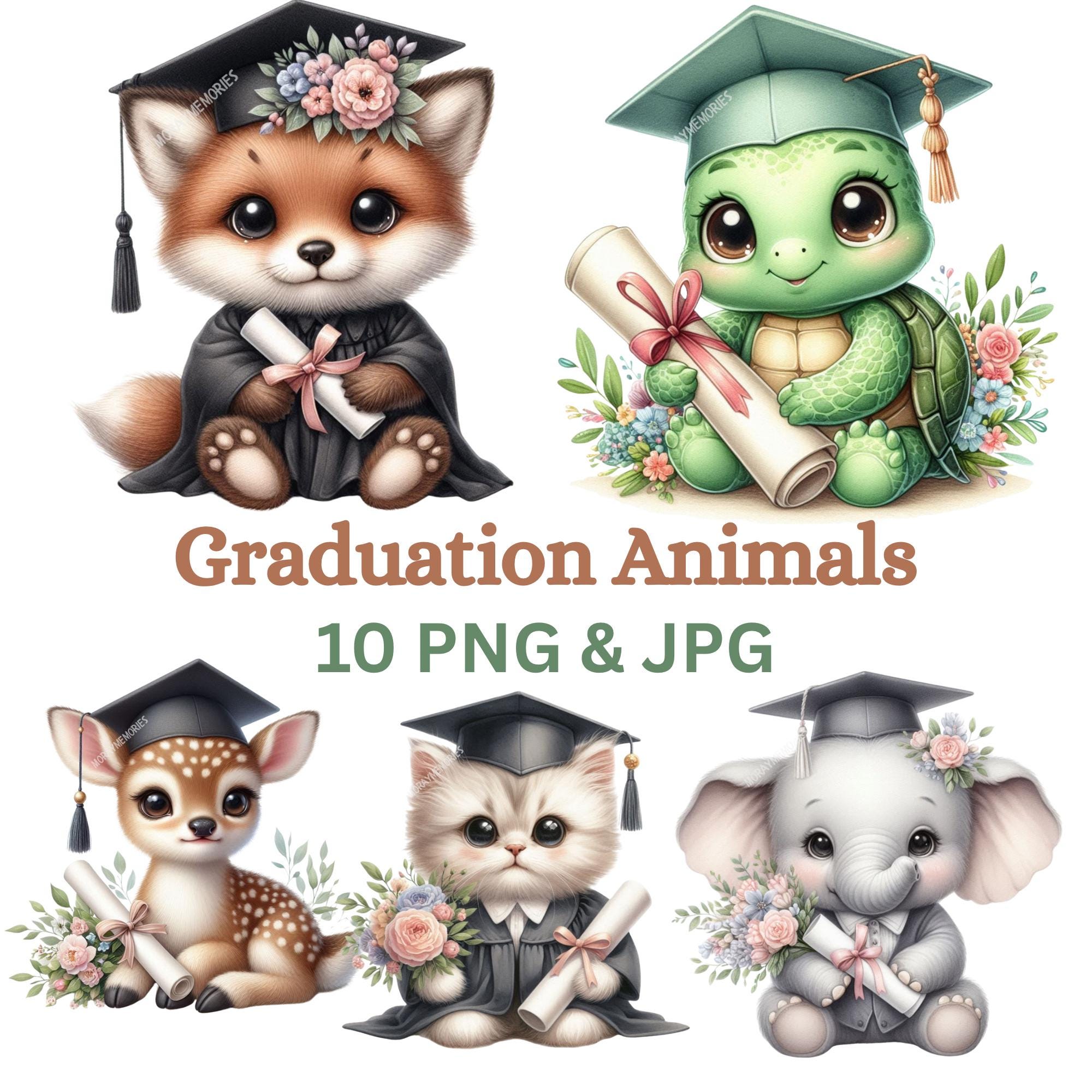 Graduation Animals Clipart Bundle PNG JPG, 10 Watercolor Graduation ...