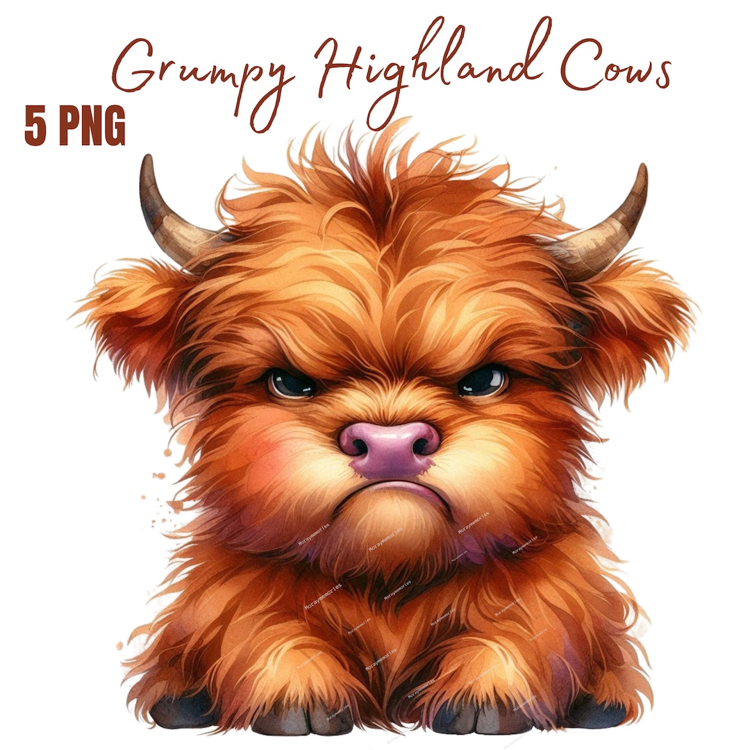 Funny Grumpy Highland Cows Clipart, High Quality Transparent Pngs ...