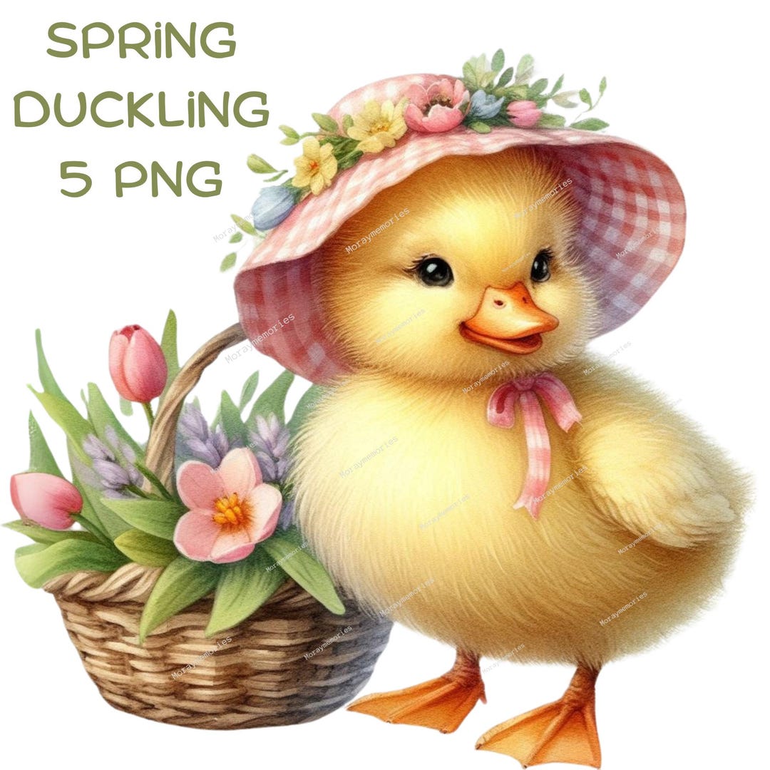 Cute Spring Duckling, High Quality Pngs, Cute Duck, Duckling Clipart ...