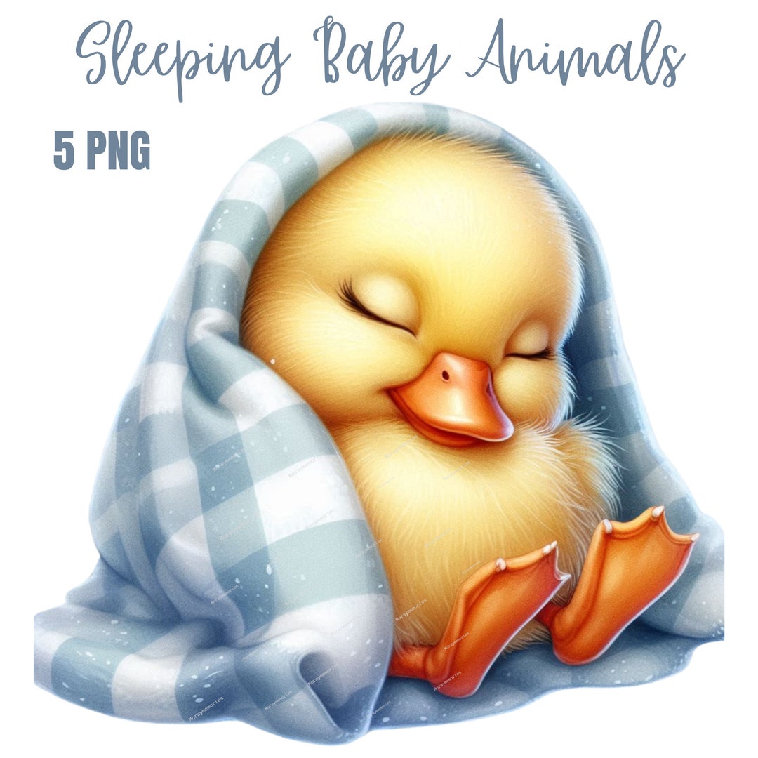 Watercolor Sleeping Baby Animals Clipart Bundle, Cute Animals PNG, Cute ...