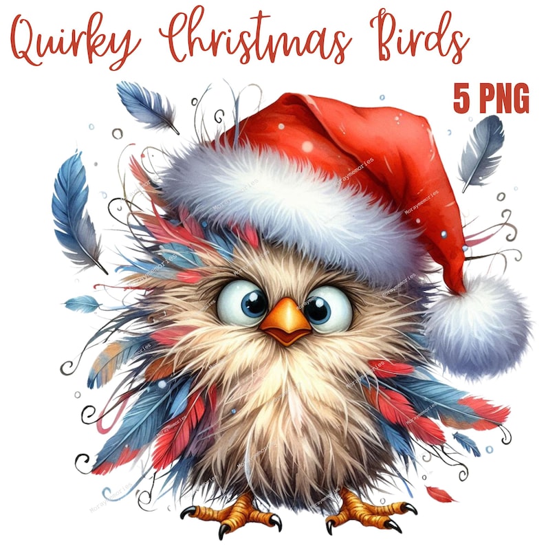 Quirky Christmas Birds Clipart, High Quality Pngs, Memory Book, Junk ...