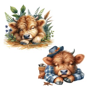 Watercolor Sleeping Baby Highland Cow Clipart, 12 PNG Cute Cow Clipart ...