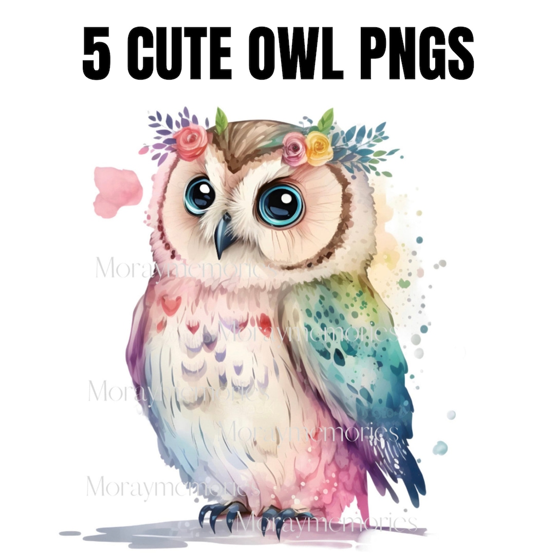 Owl, bird, Cute Owl Watercolor Clipart Bundle, owl, owl clipart, owl png, owl clip art, cute owl ...