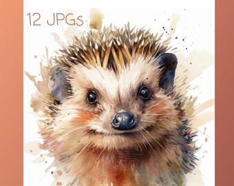 Cute Hedgehog Png Bundle With Flowers, Watercolor Clipart for Card ...