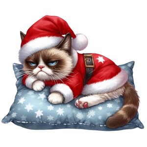 Grumpy Christmas Cat Clipart, High Quality Pngs, Memory Book, Junk ...