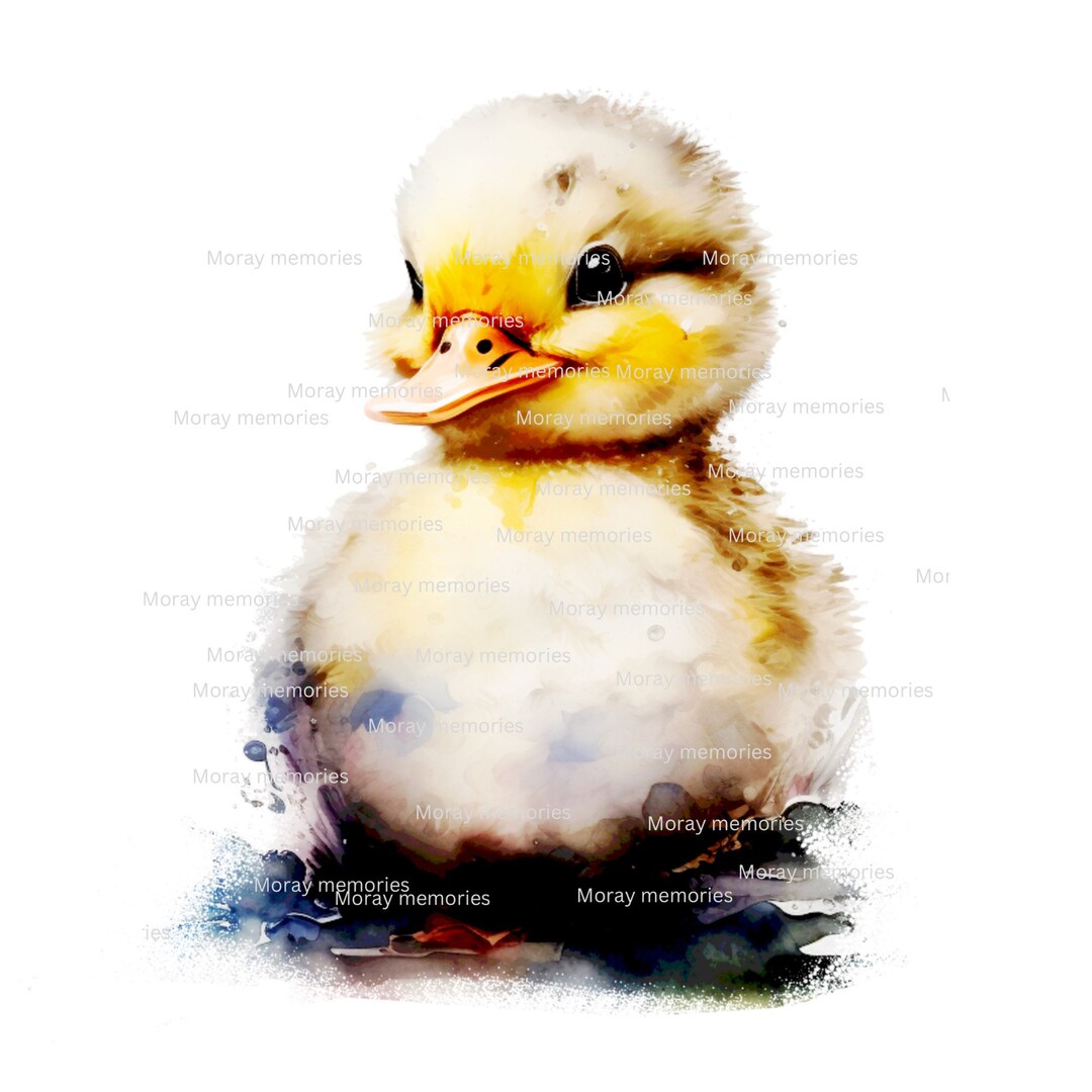 Cute Duck Png, Duck, Duck Clipart, Animal Clipart,digital Clipart ...