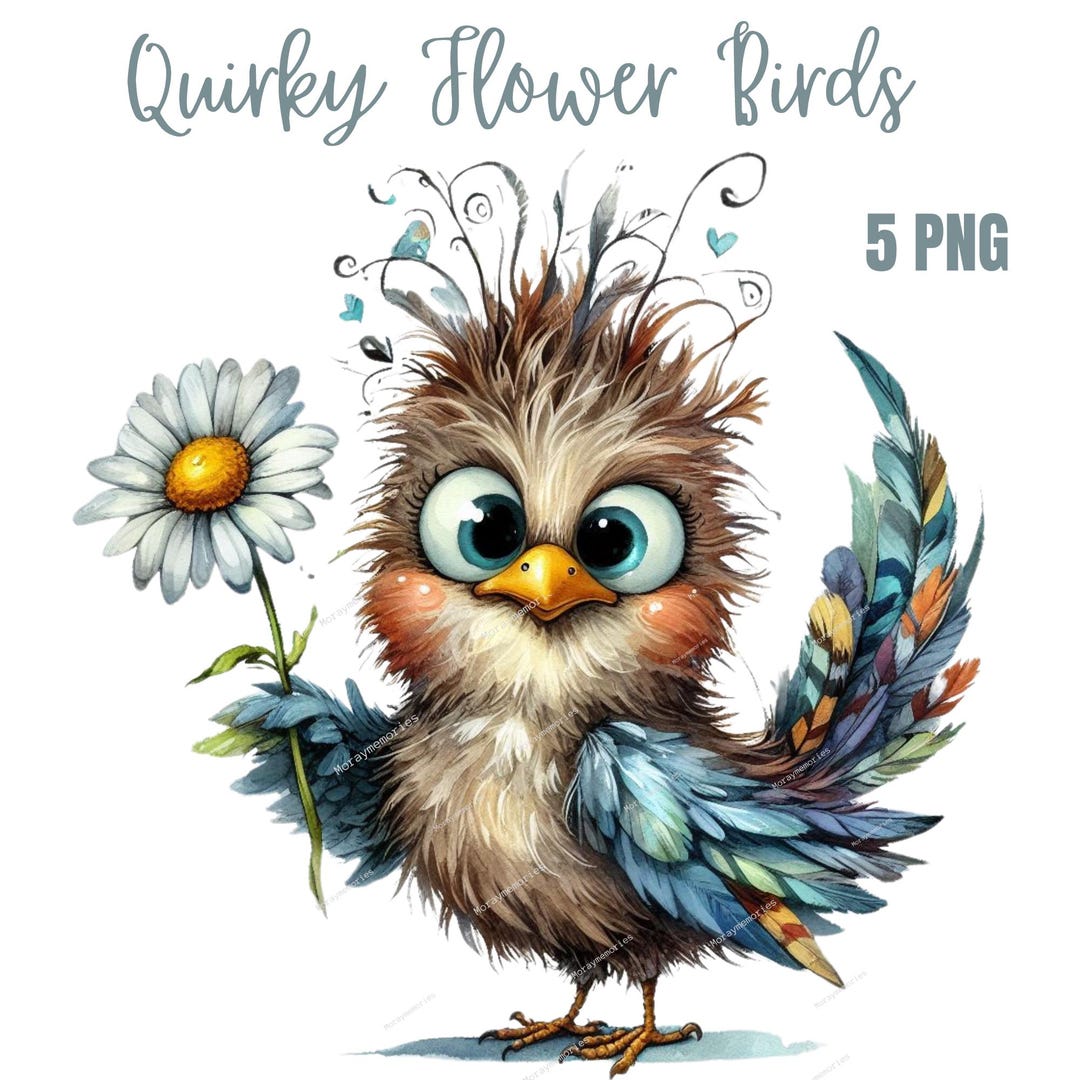 Quirky Bird Clipart, Funny Birds,high Quality Pngs, Cute Png, Floral ...