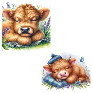Watercolor Sleeping Baby Highland Cow Clipart, 12 PNG Cute Cow Clipart ...