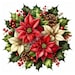 Poinsettia Clipart Bundle | Christmas Flower Watercolor Jpgs Holiday ...