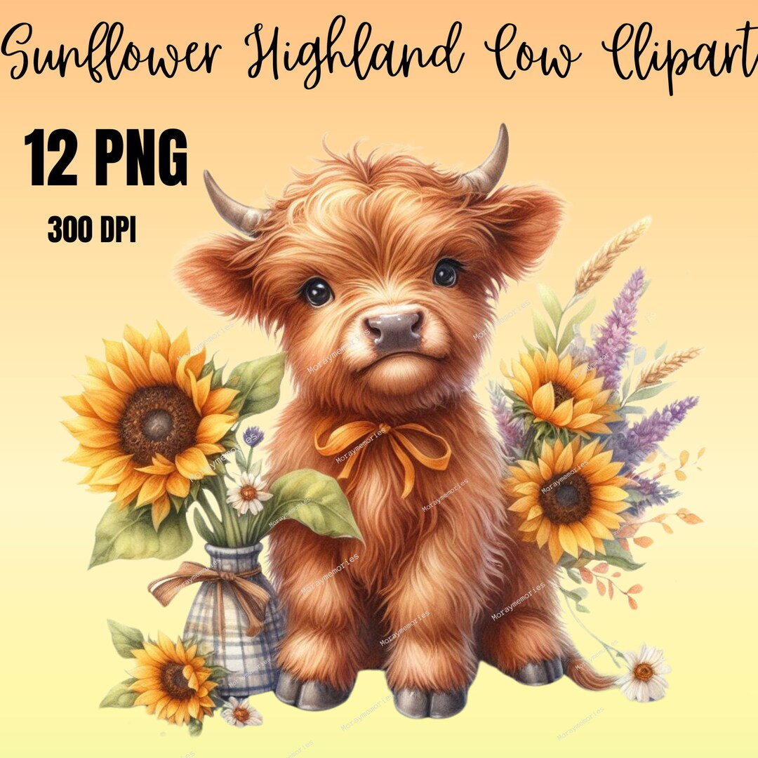 Watercolor Sunflower Highland Cows Collectionclipart, 12 PNG Spring ...