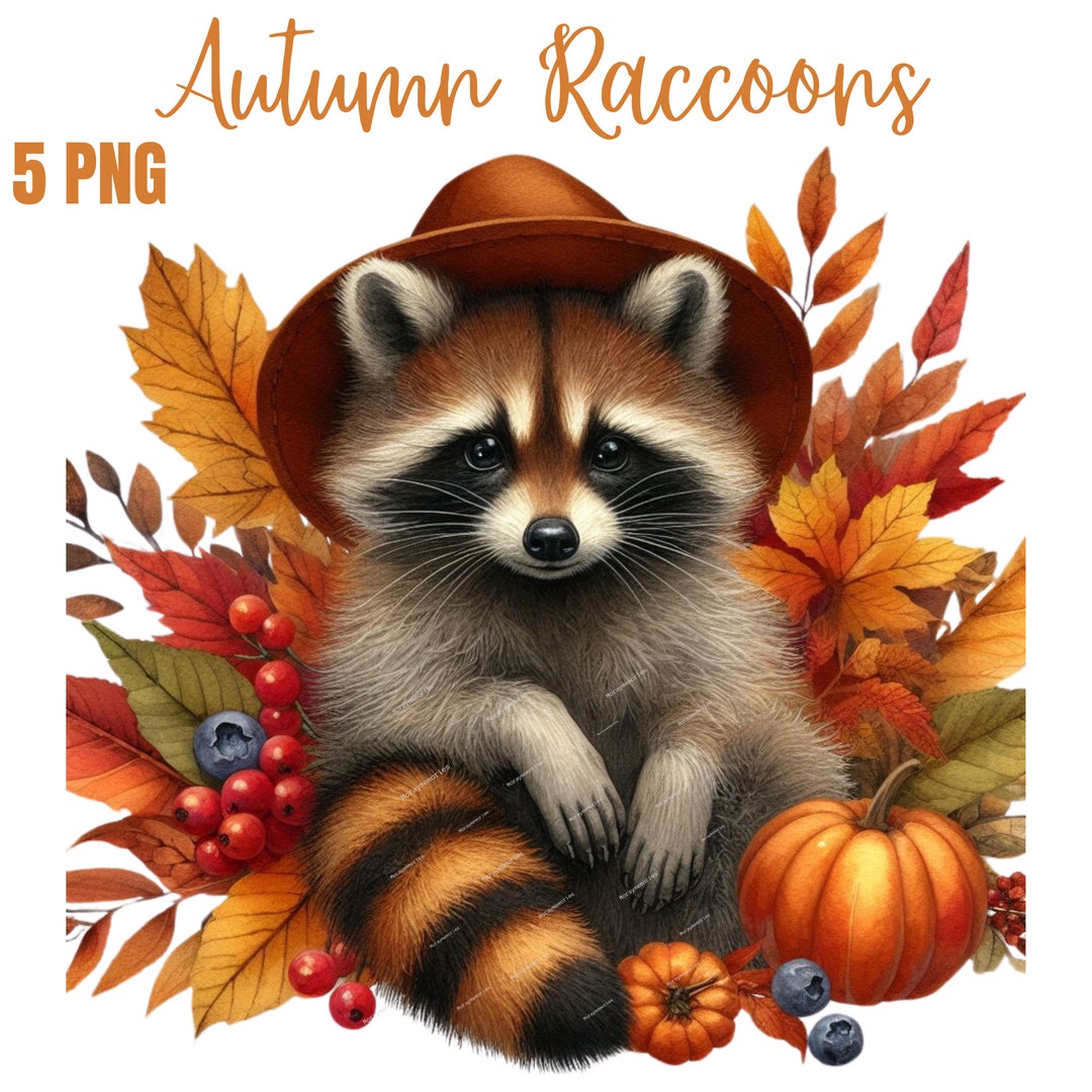 Watercolor Cute Autumn Raccoons, PNG Animal Clipart, Fall Raccoons ...