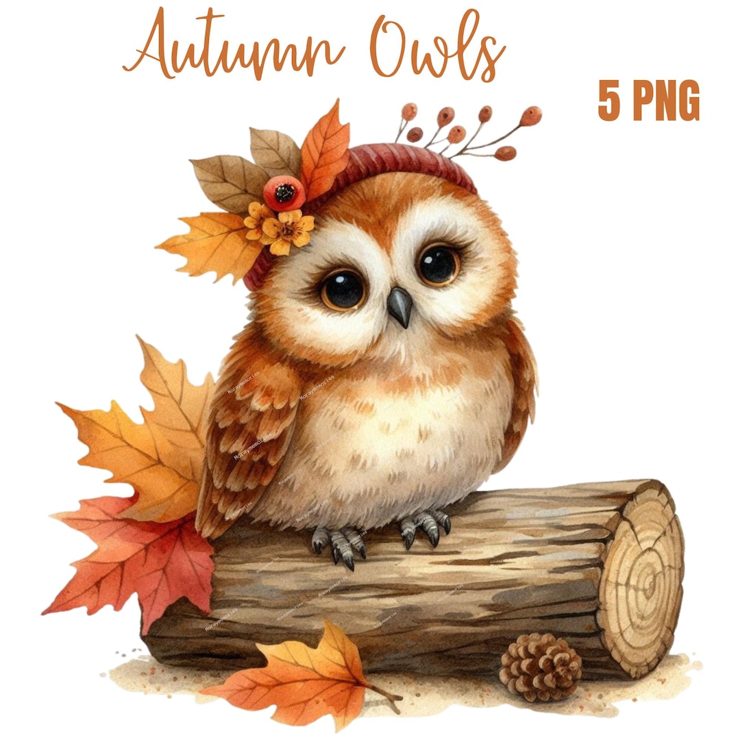 Cute Autumn Owl Clipart, High Quality Pngs, Nursery Art, Digital ...