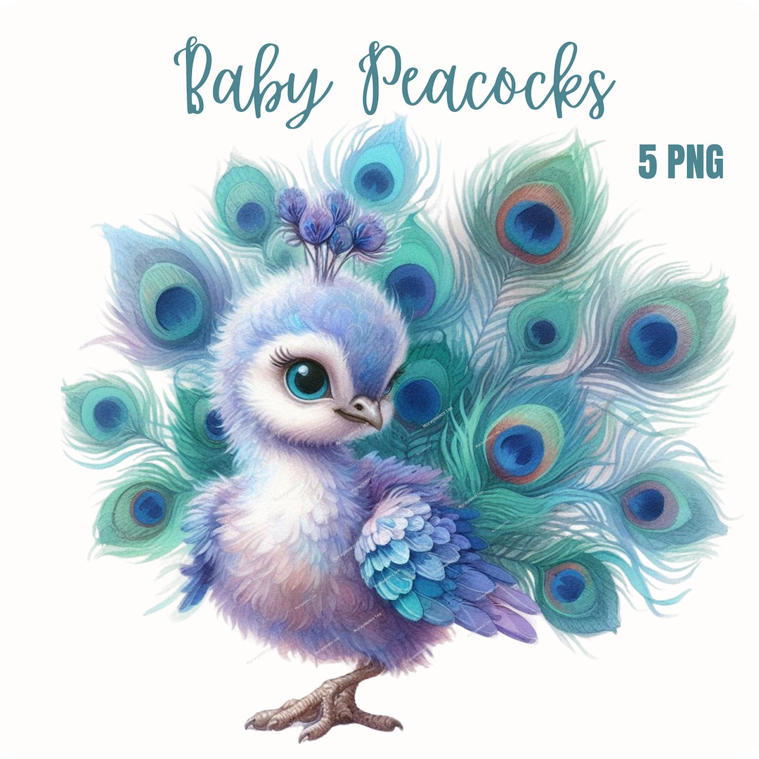 Cute Peacock Clipart | Adorable Peacock Clipart Bundle | High-quality ...