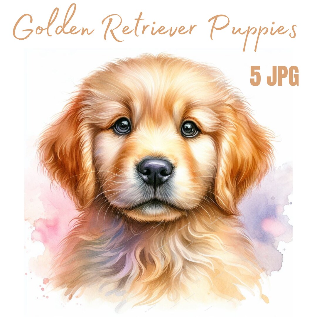 Golden Retriever Puppy Clipart, High Quality Jpgs, Digital Download ...