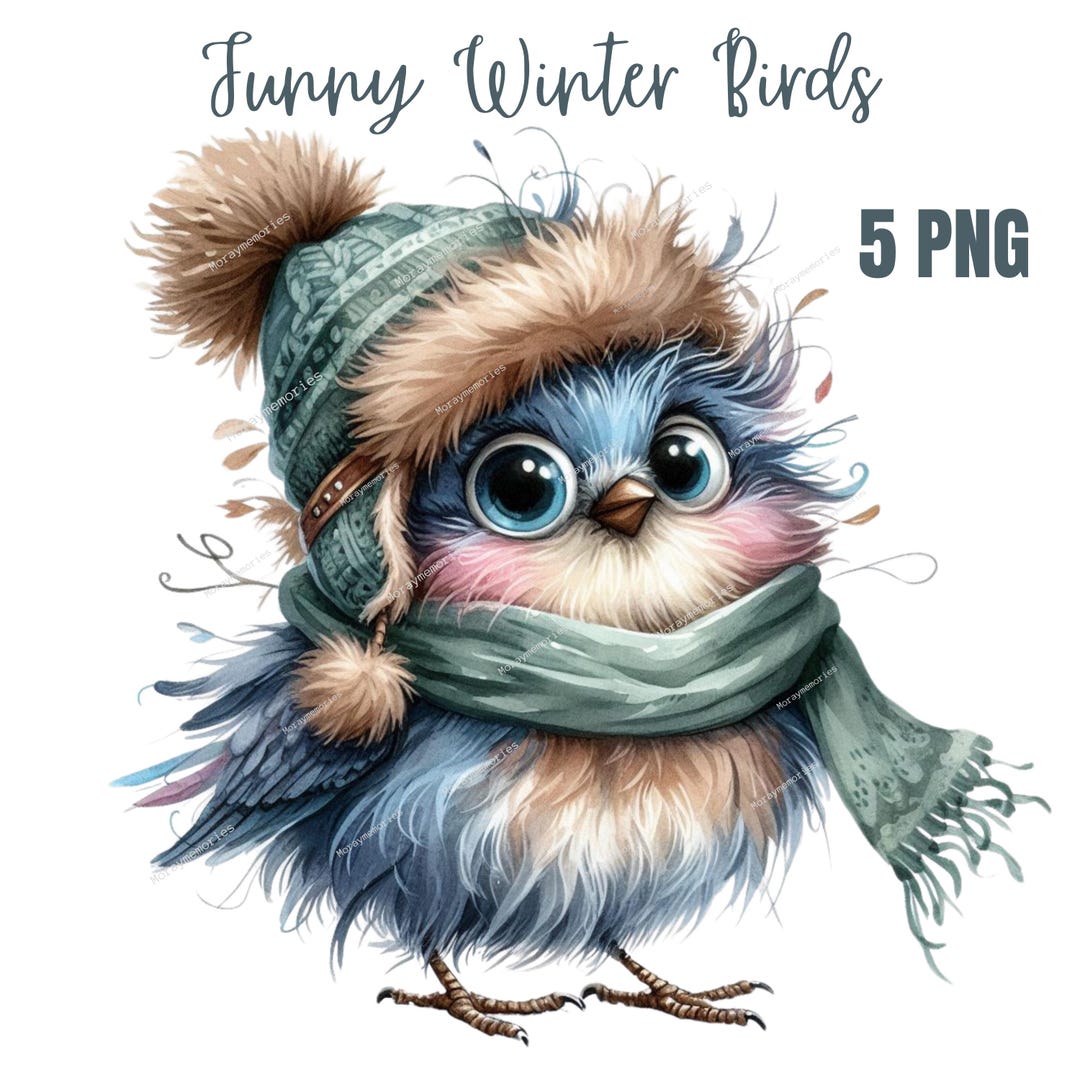 Funny Winter Birds Clipart, High Quality Pngs, Fall Clipart, Digital ...