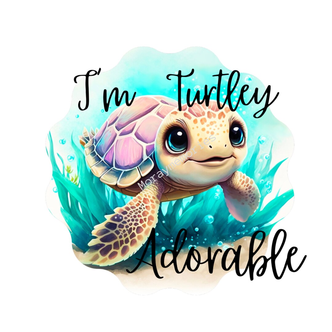 Turtle, Sea Turtle,turtley Adorable Png, Turtle Png, Kids Png Files ...