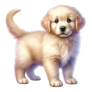 Golden Retriever Puppy Clipart, High Quality Pngs, Digital Download ...