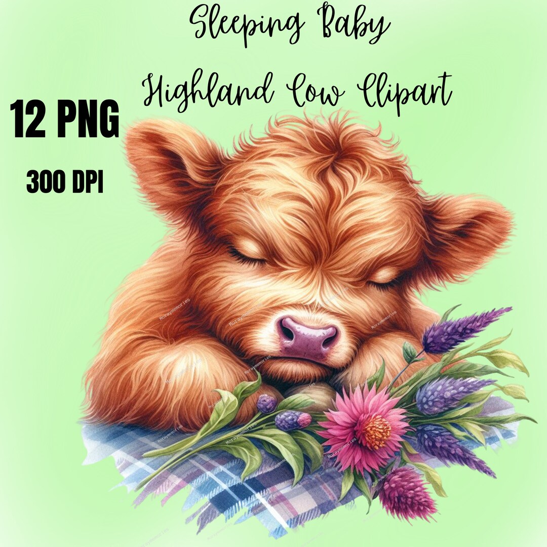 Watercolor Sleeping Baby Highland Cow Clipart, 12 PNG Cute Cow Clipart ...