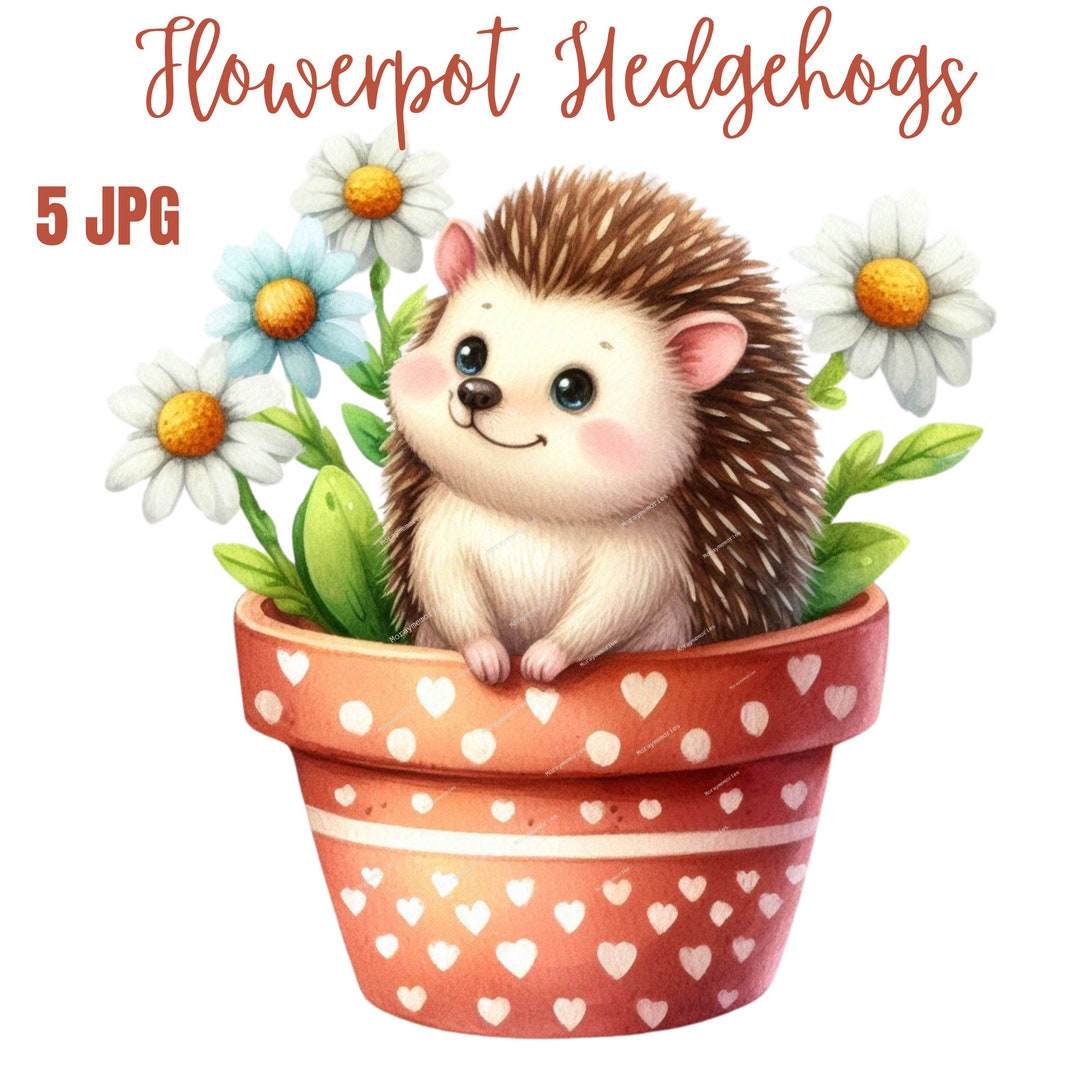 Hedgehog Flower Pot JPG Clipart, Cartoon Hedgehog,printable Watercolor ...