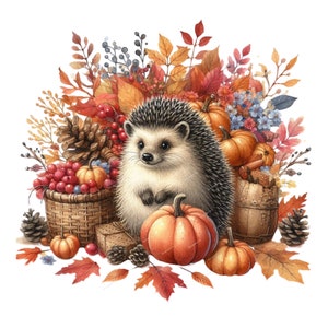 Watercolor Cute Autumn Hedgehogs, PNG Animal Clipart, Fall Hedgehog ...