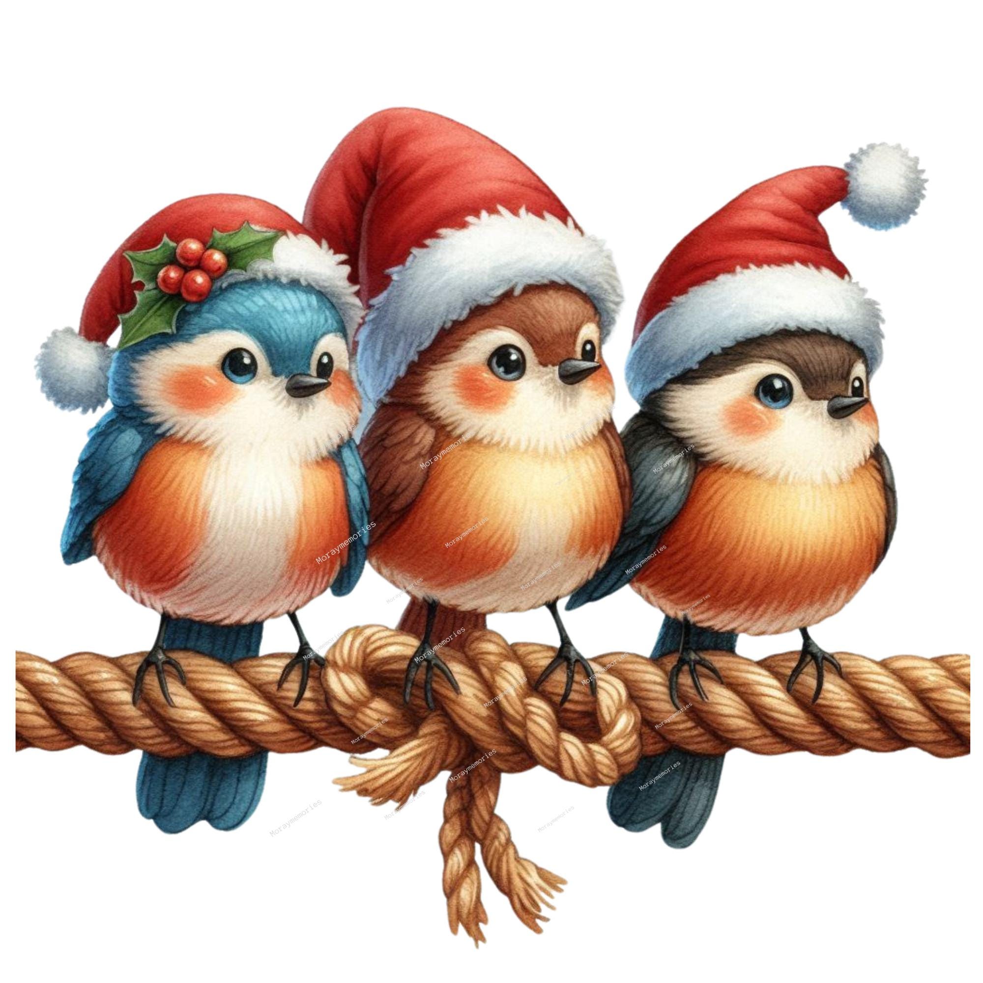 Cute Christmas Birds Clipart, High Quality Pngs, Memory Book, Junk ...
