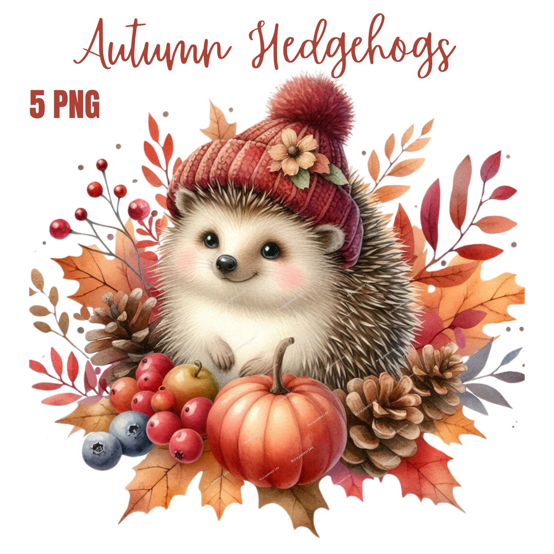 Watercolor Cute Autumn Hedgehogs, PNG Animal Clipart, Fall Hedgehog ...