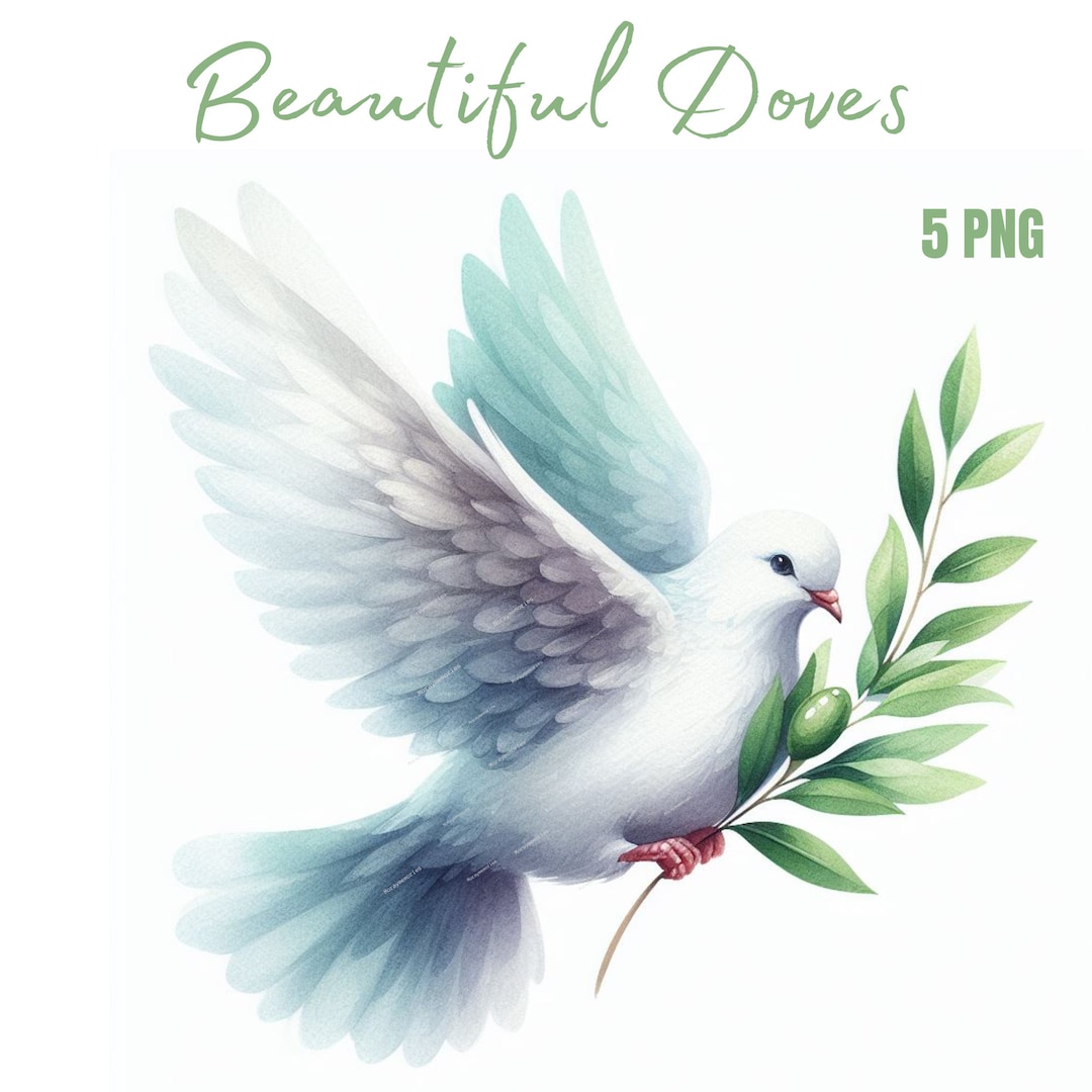 PNG, Dove Clipart,dove in Flight,dove With Olive Branch,dove ...