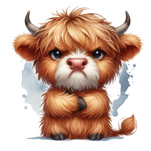 Funny Grumpy Highland Cows Clipart, High Quality Transparent Pngs ...