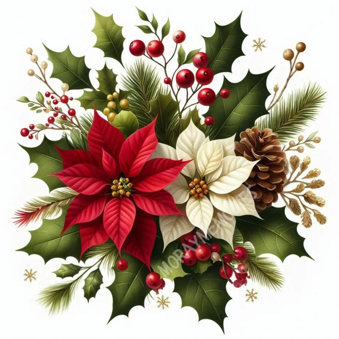 Poinsettia Clipart Bundle | Christmas Flower Watercolor Jpgs Holiday ...